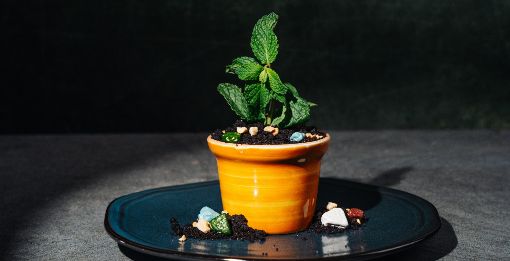 Discovering the Tradition of Tres Leches Cake and Rompope - PORFIRIO'S ...